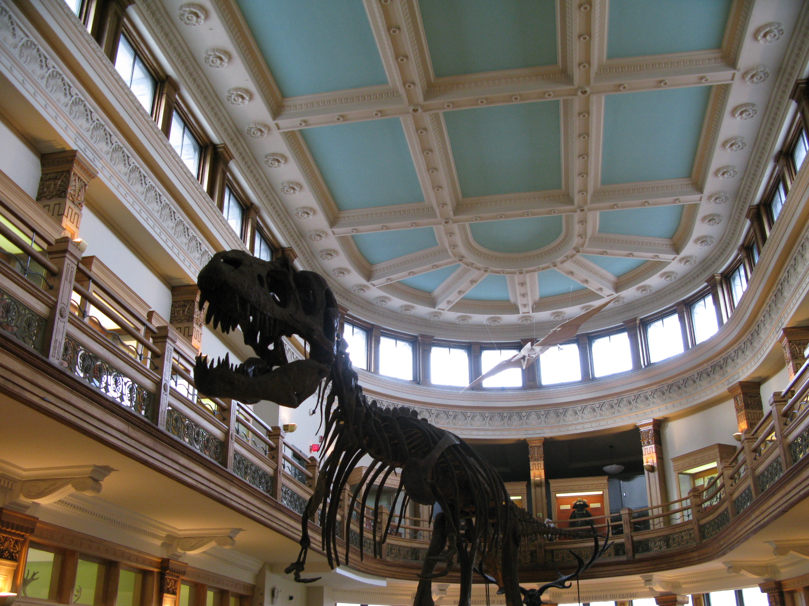 Musée Redpath – Backyard and Beyond