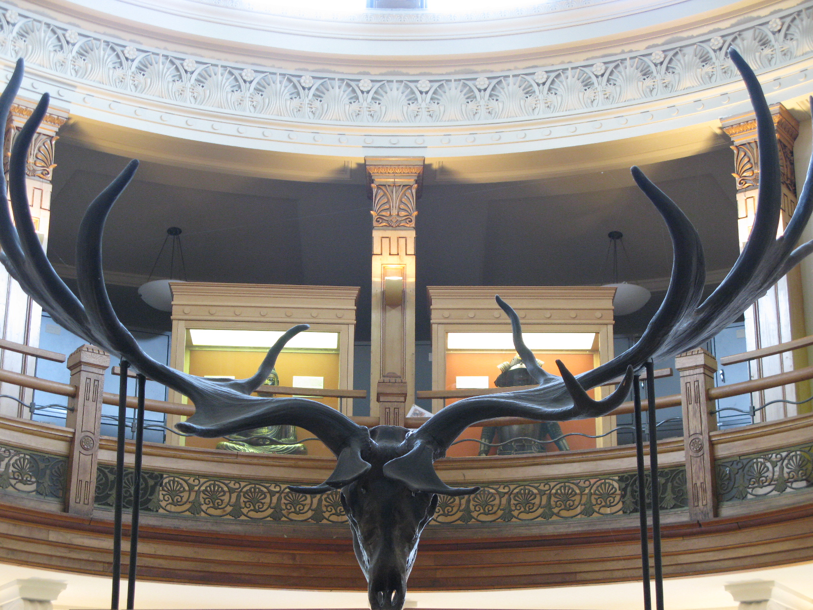 Musée Redpath – Backyard and Beyond